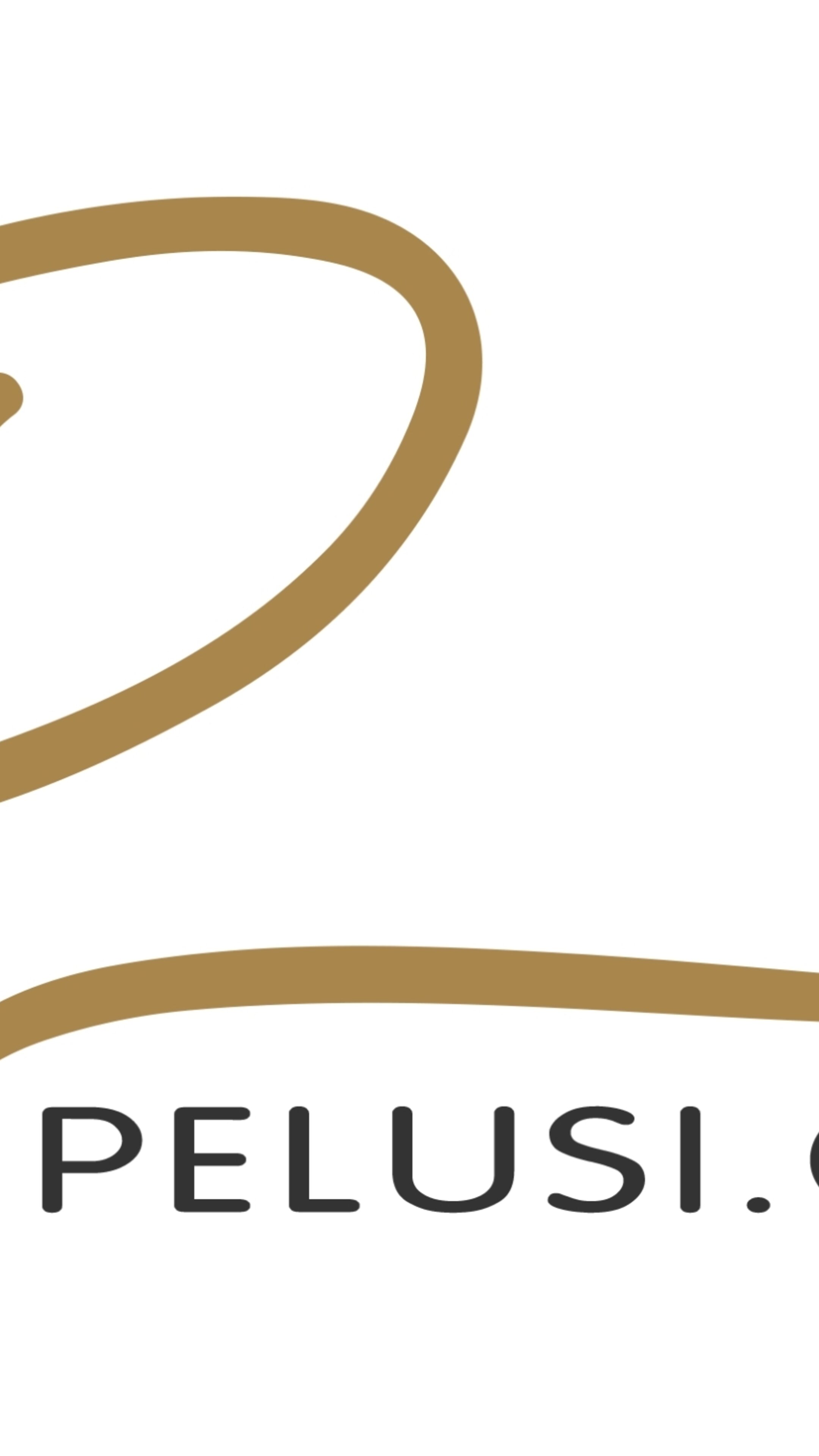 F.LLI PELUSI SRL
